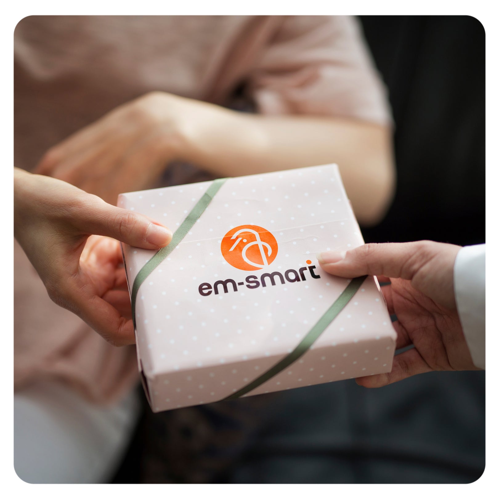 Desktop Laser Engraver - EM-Smart US Official